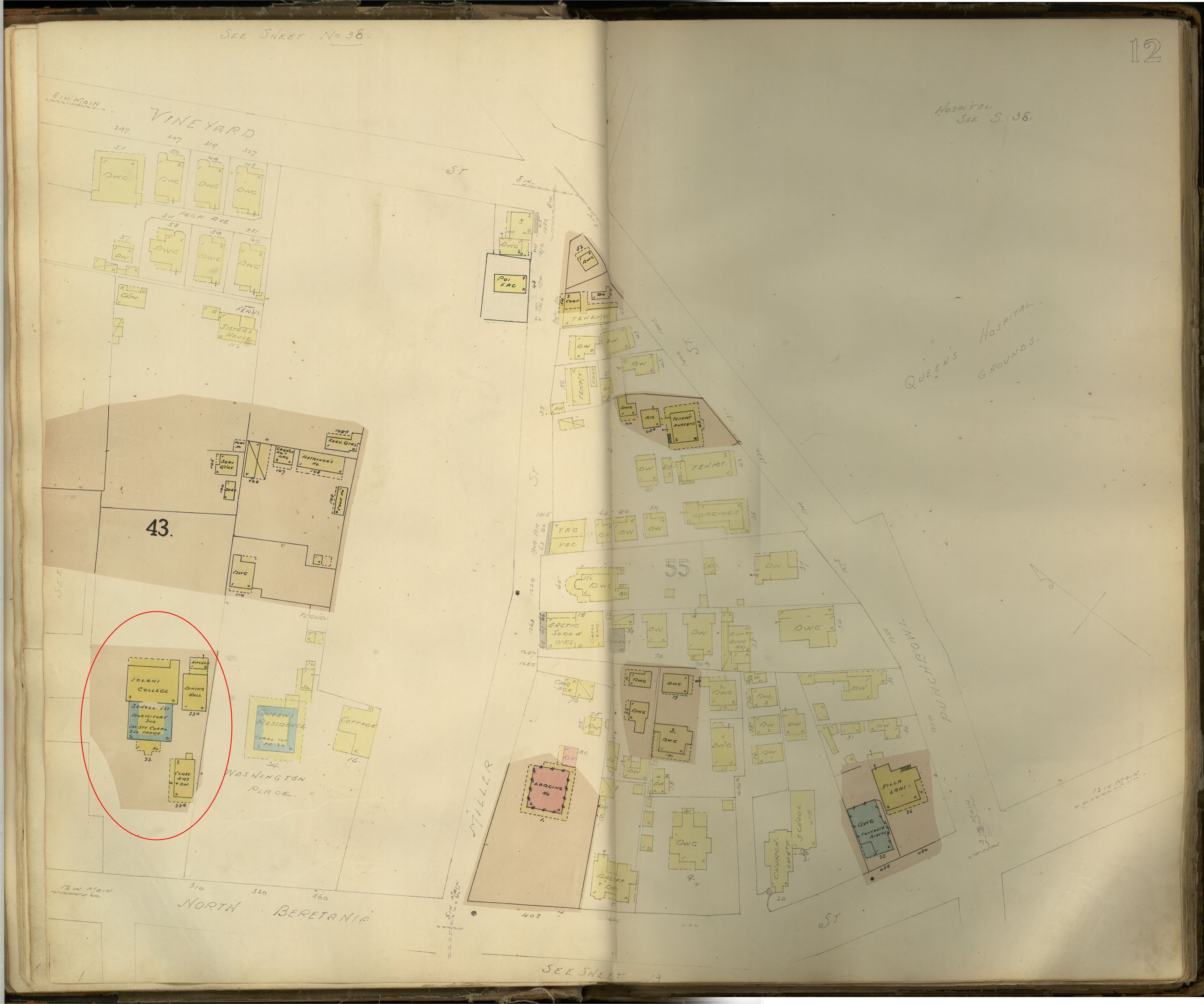 Honolulu and Vicinity-Dakin-Fire Insurance- 12-Map-1906-noting_Iolani ...
