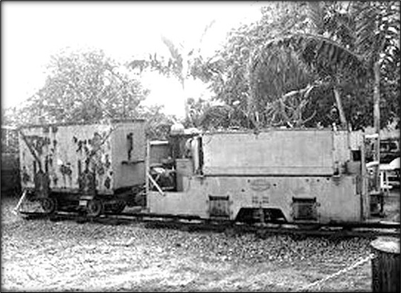 Howling Owl | Images of Old Hawaiʻi