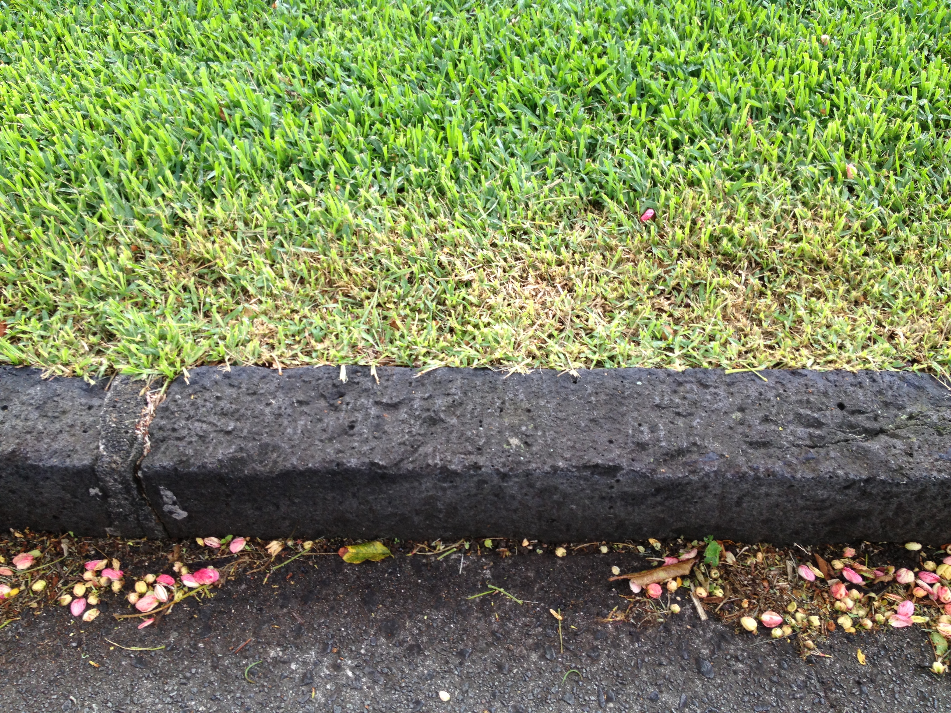 Historic Curbs and Sidewalks | Images of Old Hawaiʻi