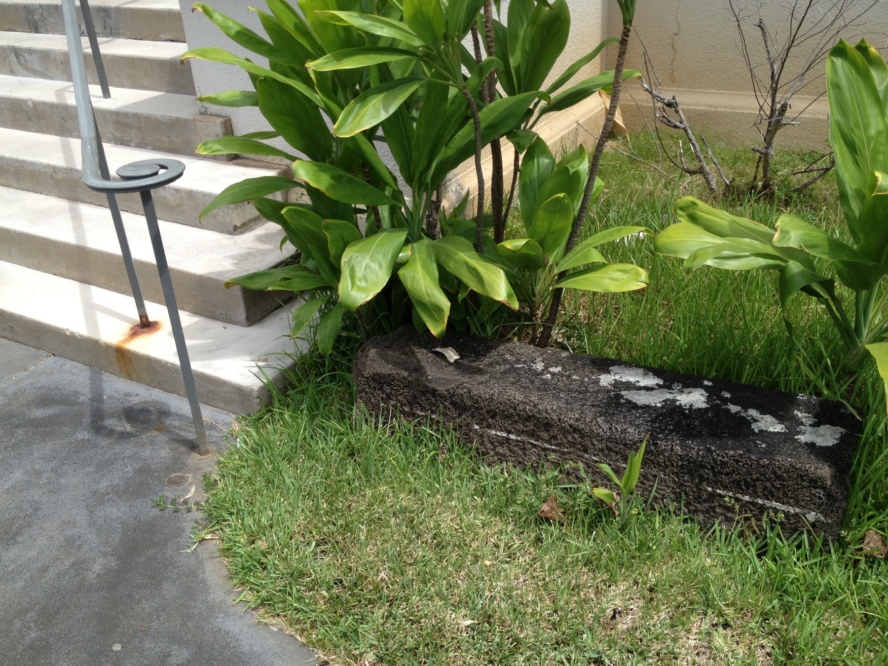 Pōhaku Kalai a Umi | Images of Old Hawaiʻi