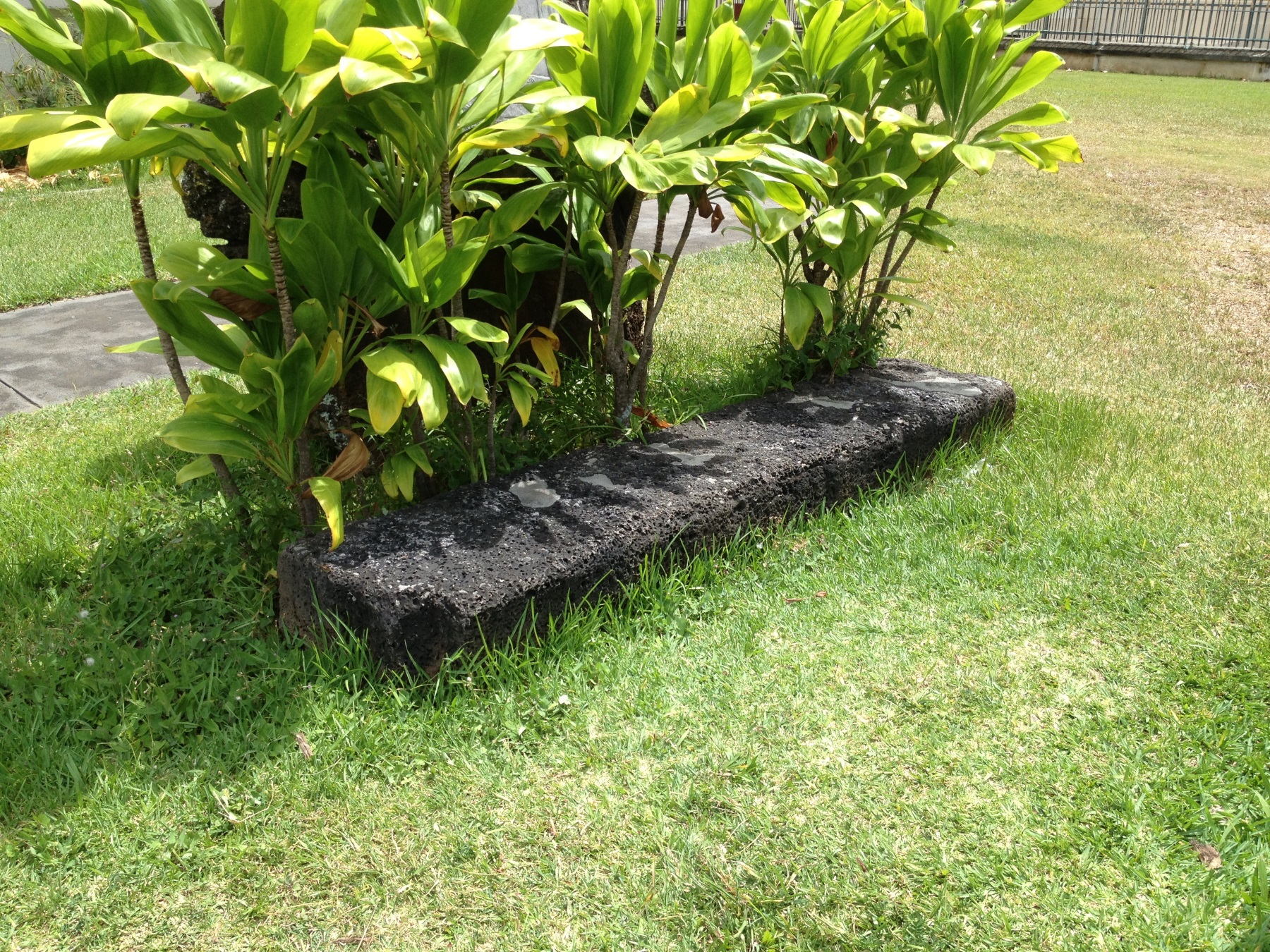 Pōhaku Kalai a Umi | Images of Old Hawaiʻi