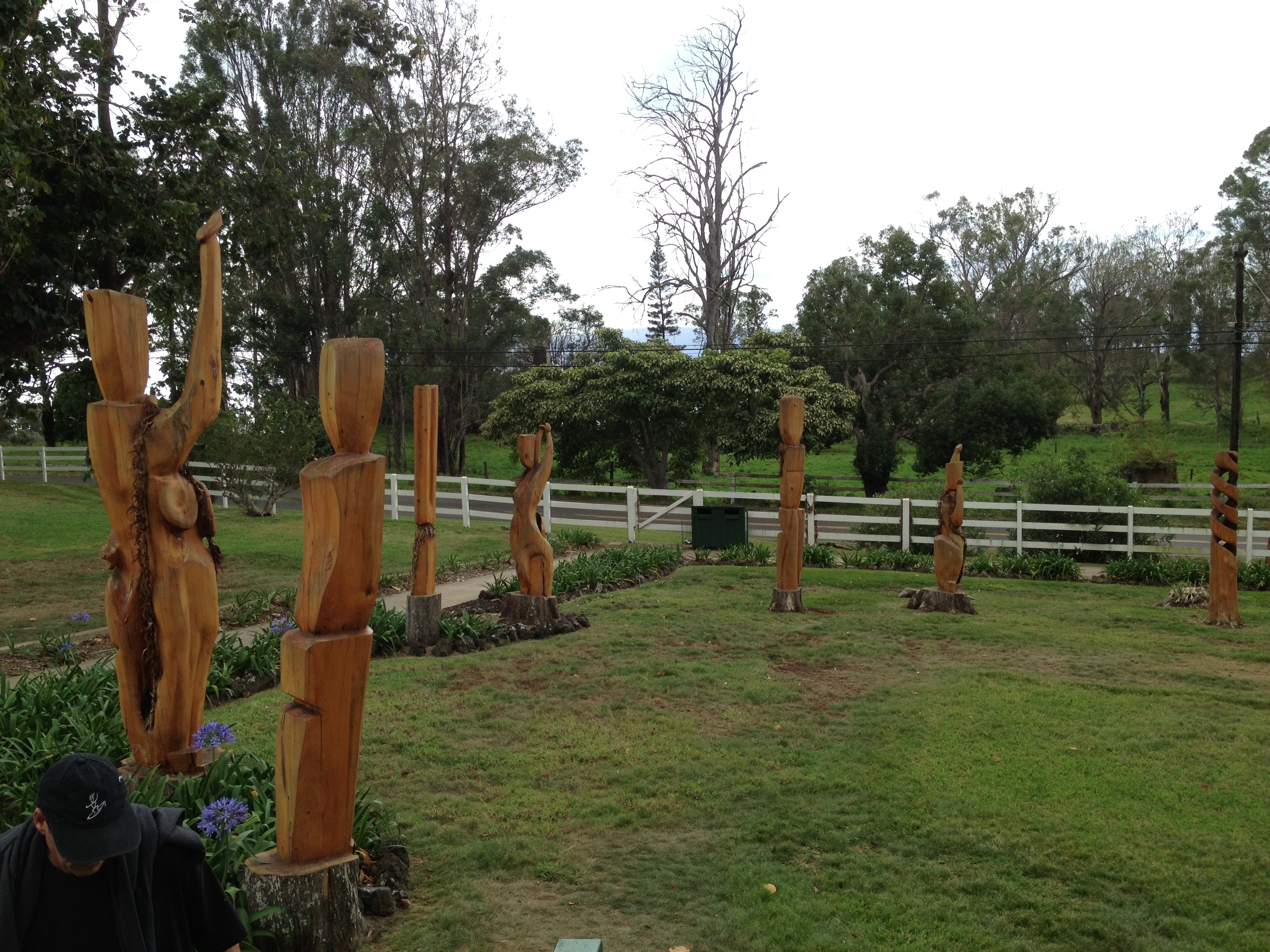 Rose Ranch | Images of Old Hawaiʻi