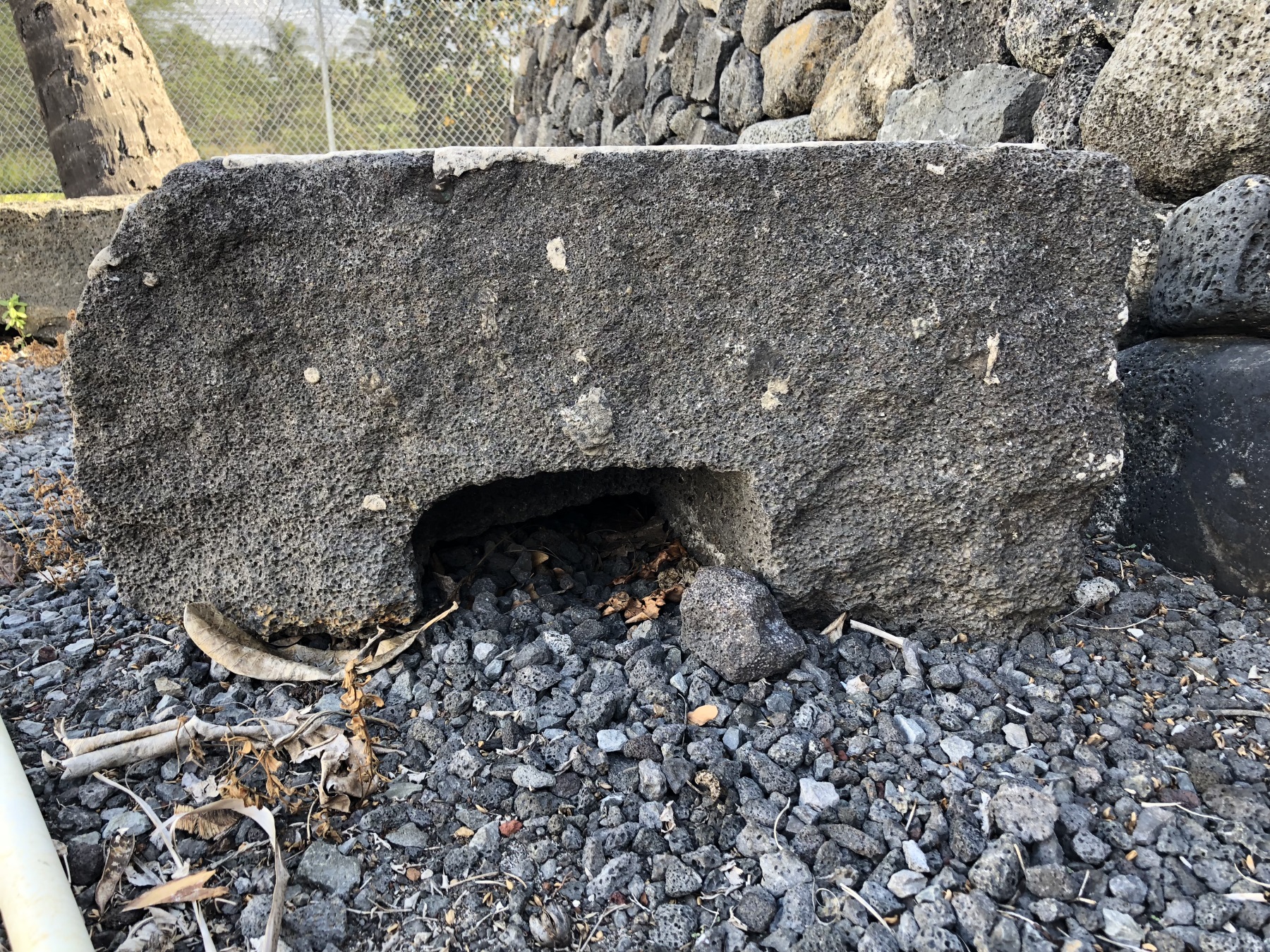 Pōhaku Kalai a Umi | Images of Old Hawaiʻi