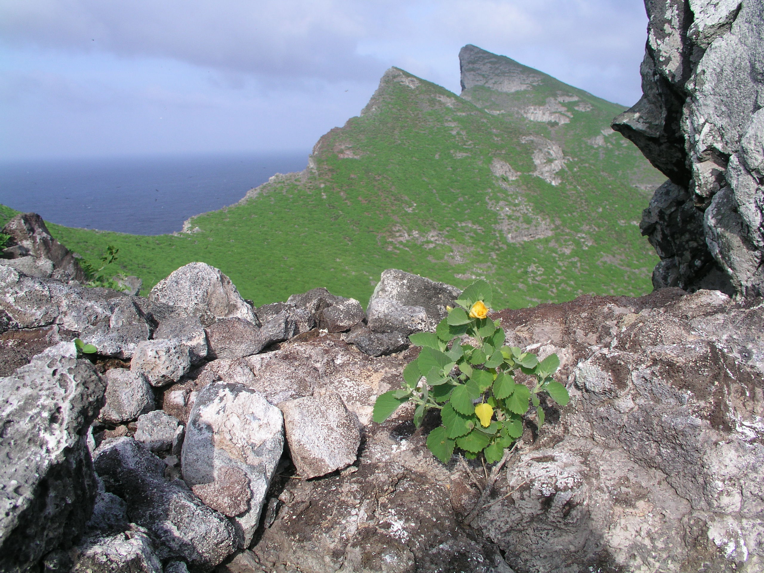 Nihoa | Images of Old Hawaiʻi