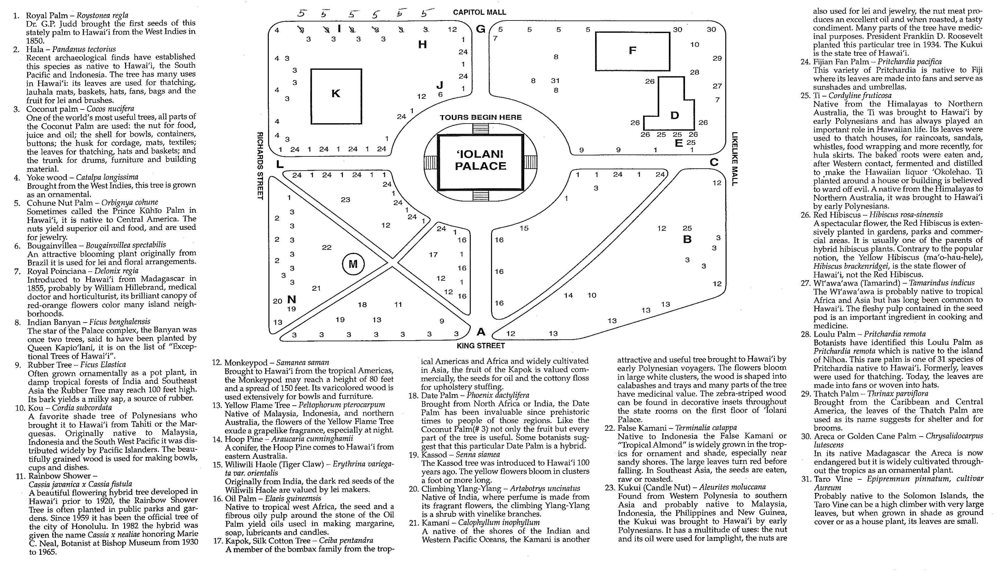 ʻIolani Palace Trees | Images of Old Hawaiʻi