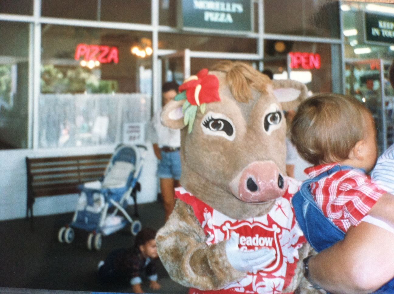 Lani Moo | Images of Old Hawaiʻi