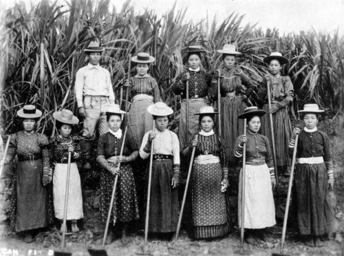 Cane Fire | Images of Old Hawaiʻi