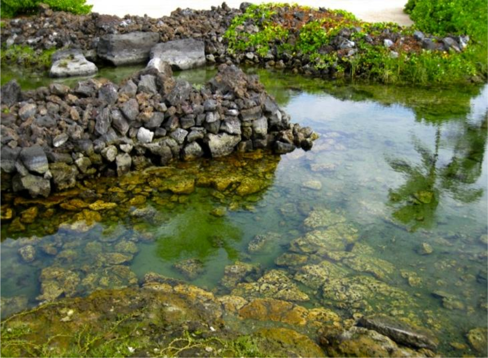 Six Main Styles of Hawaiian Fishponds | Images of Old Hawaiʻi