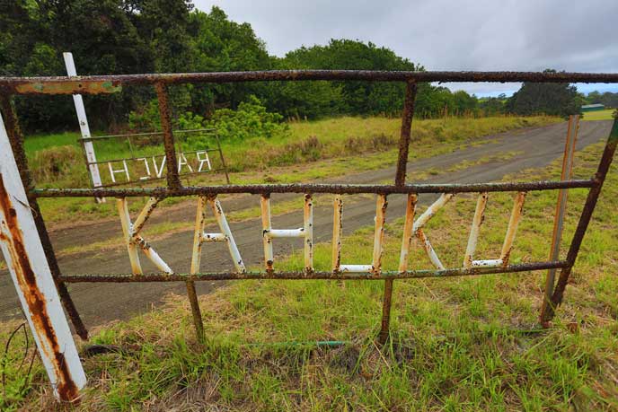 Kahuku Ranch | Images of Old Hawaiʻi