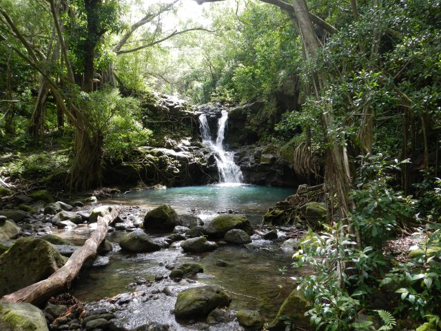 Kalauao | Images of Old Hawaiʻi