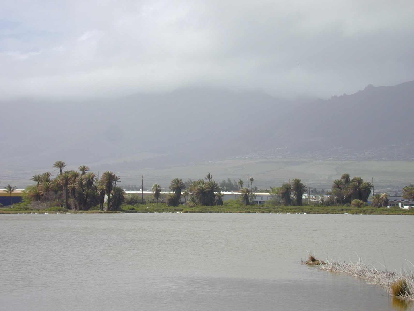Kanahā Pond | Images of Old Hawaiʻi
