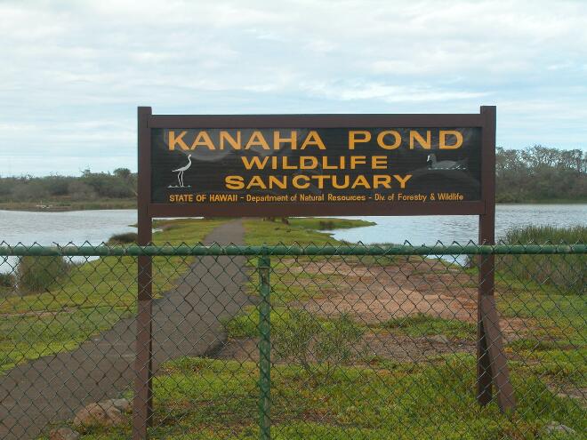 Kanahā Pond | Images of Old Hawaiʻi