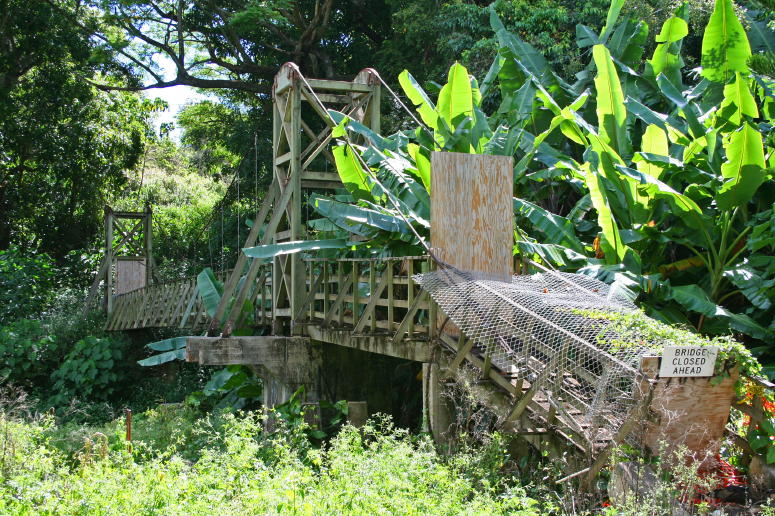 Pedestrian Suspension Bridges | Images of Old Hawaiʻi