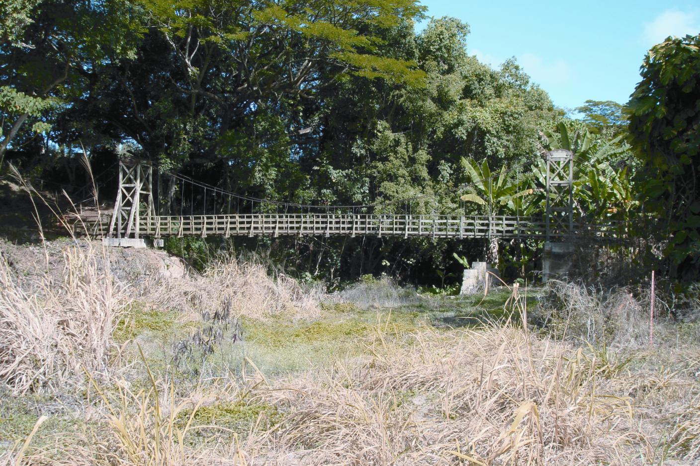 Pedestrian Suspension Bridges | Images of Old Hawaiʻi