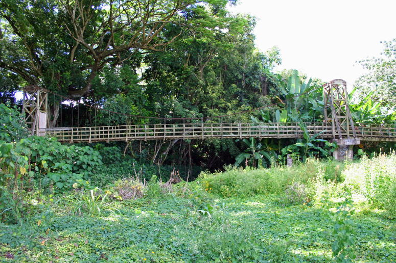 Pedestrian Suspension Bridges | Images of Old Hawaiʻi