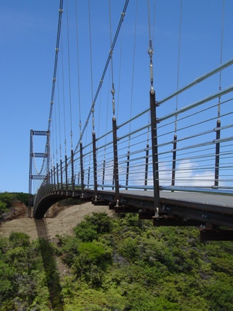 Pedestrian Suspension Bridges | Images of Old Hawaiʻi
