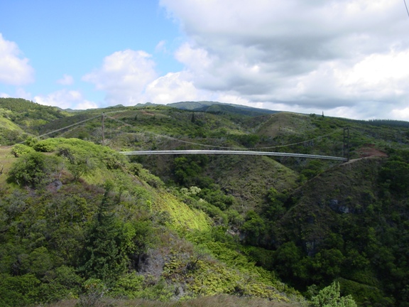 Pedestrian Suspension Bridges | Images of Old Hawaiʻi