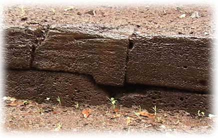 Menehune | Images of Old Hawaiʻi