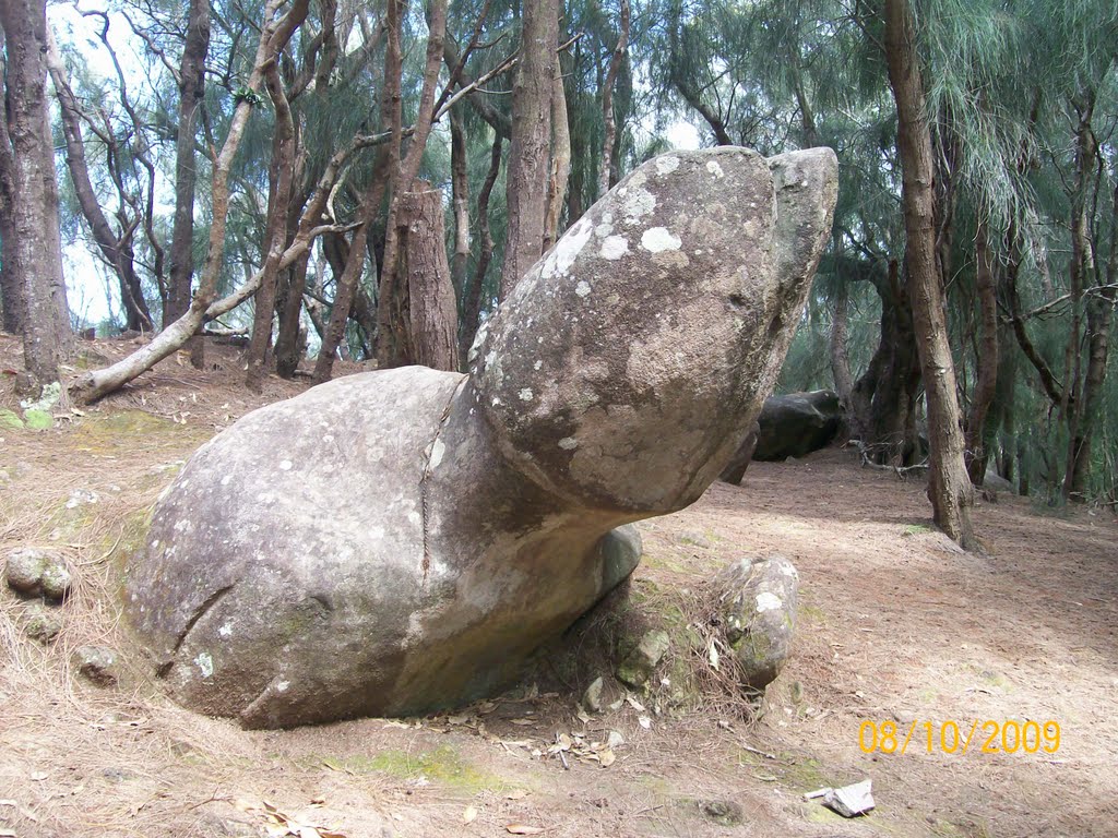 Kauleonanahoa or Phallic Rock at Pala’au State Park; Molokai | Images ...
