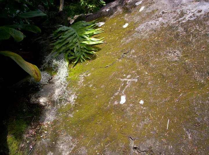 Hale O Papa | Images of Old Hawaiʻi