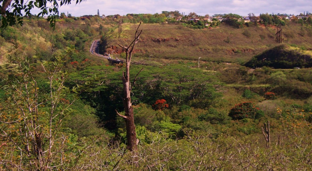 Kīpapa Gulch | Images of Old Hawaiʻi