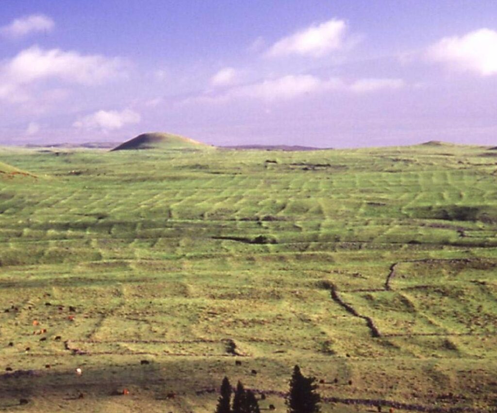 Kohala Field System | Images of Old Hawaiʻi
