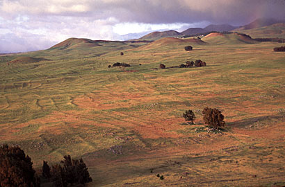 Kohala Field System | Images of Old Hawaiʻi