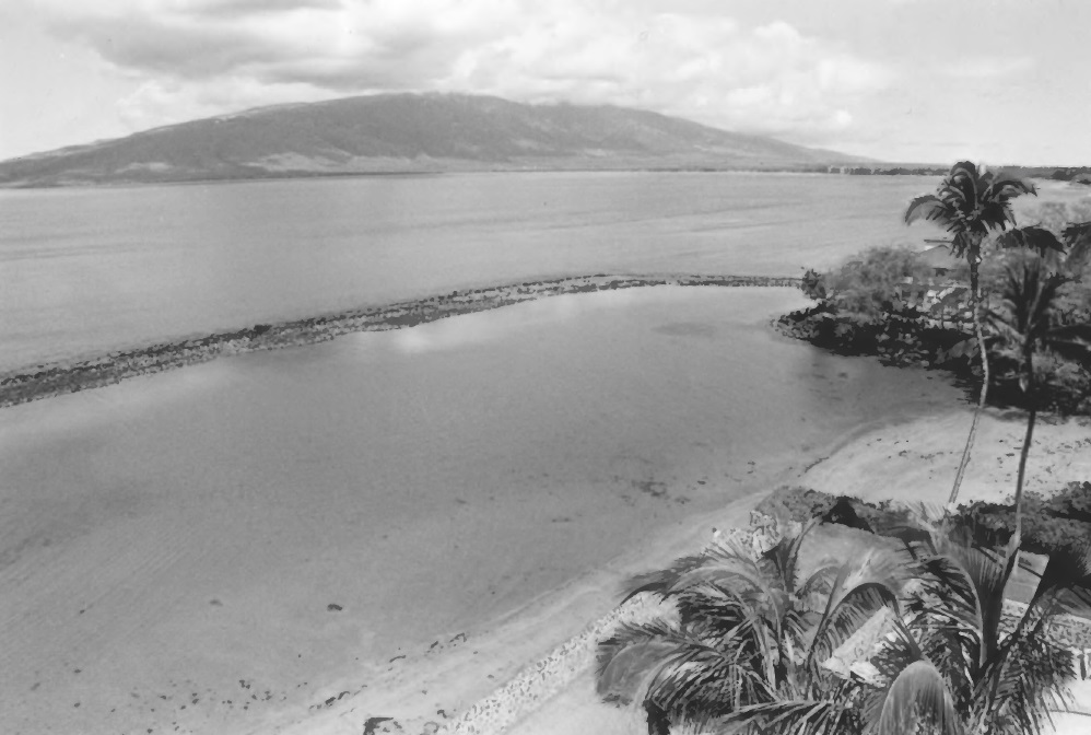 Koʻieʻie Loko Iʻa | Images of Old Hawaiʻi