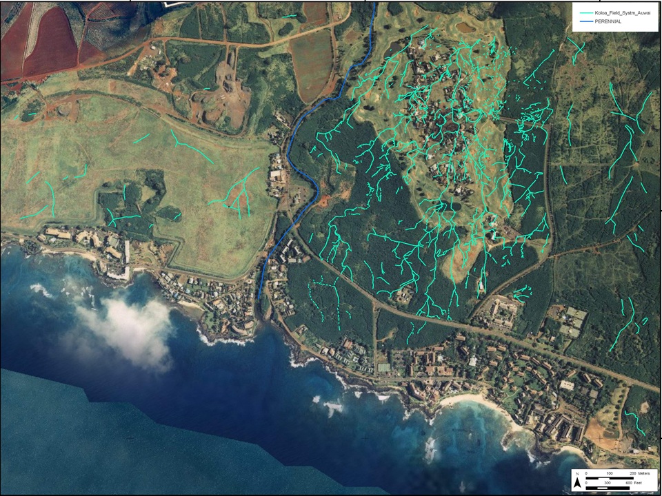 Kōloa Field System | Images of Old Hawaiʻi