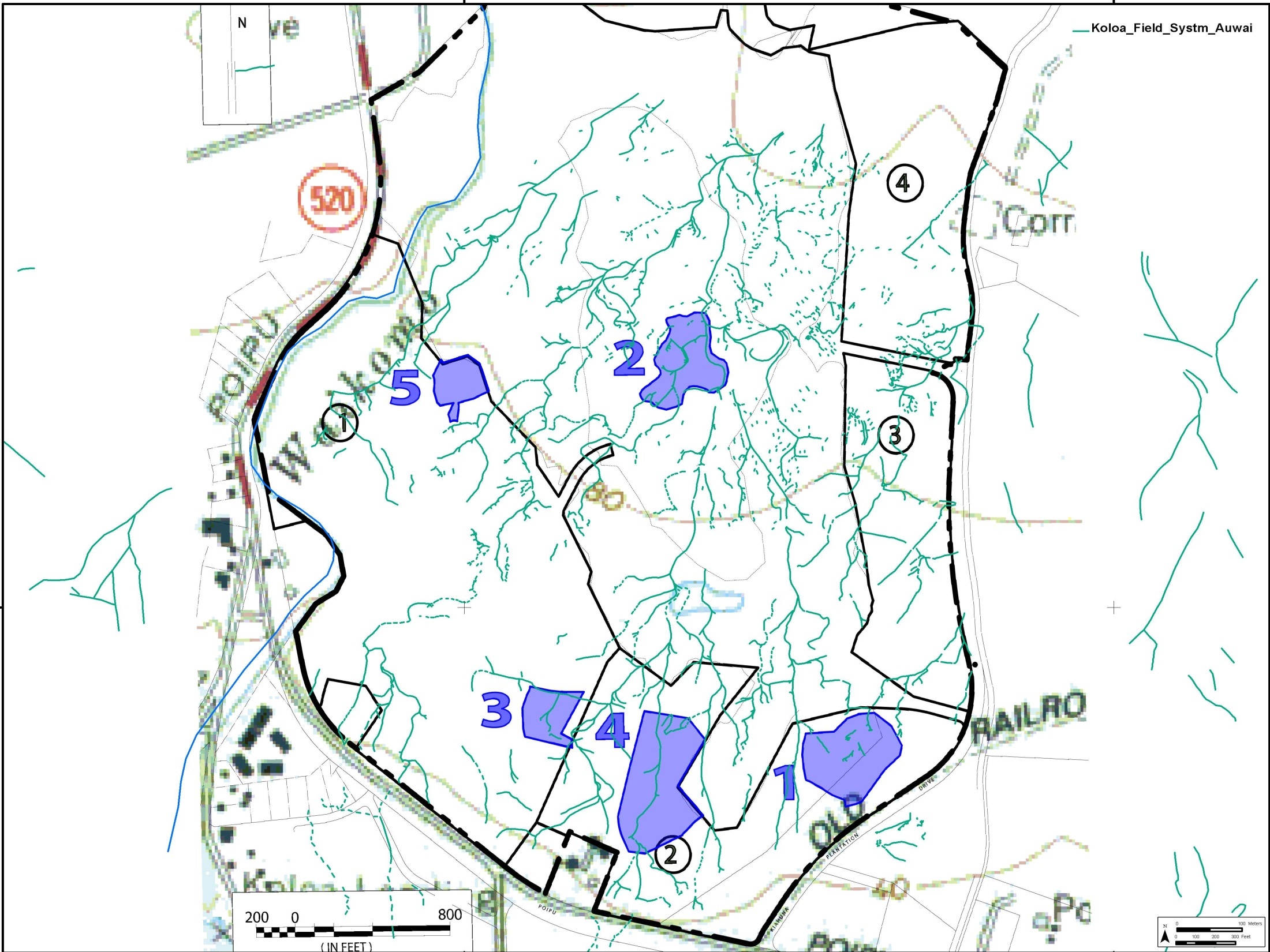 Kōloa Field System | Images of Old Hawaiʻi