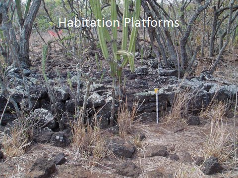Kōloa Field System | Images of Old Hawaiʻi