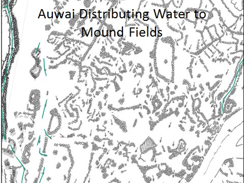 Kōloa Field System | Images of Old Hawaiʻi