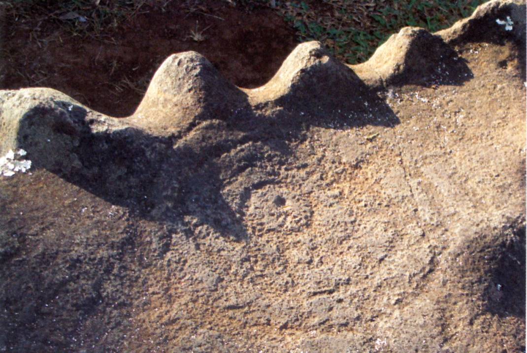 Kūkaniloko Birthstones | Images of Old Hawaiʻi