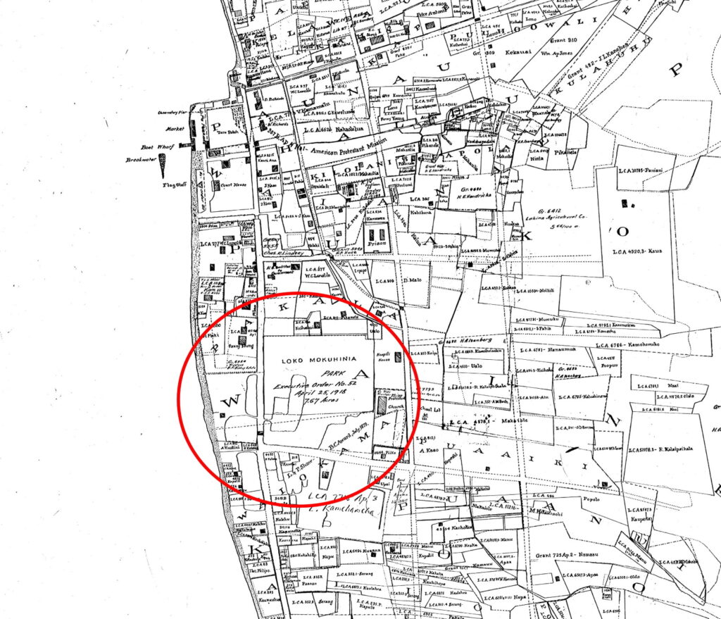 “Reclamation” Projects – Early-1900s | Images of Old Hawaiʻi