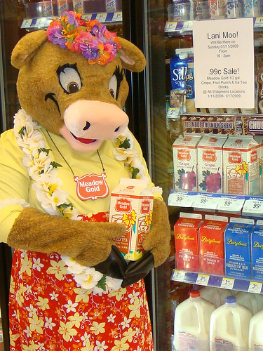 Lani Moo | Images of Old Hawaiʻi