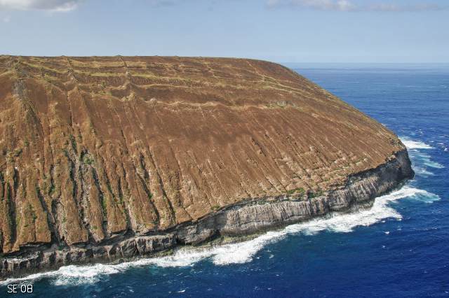 Lehua | Images of Old Hawaiʻi
