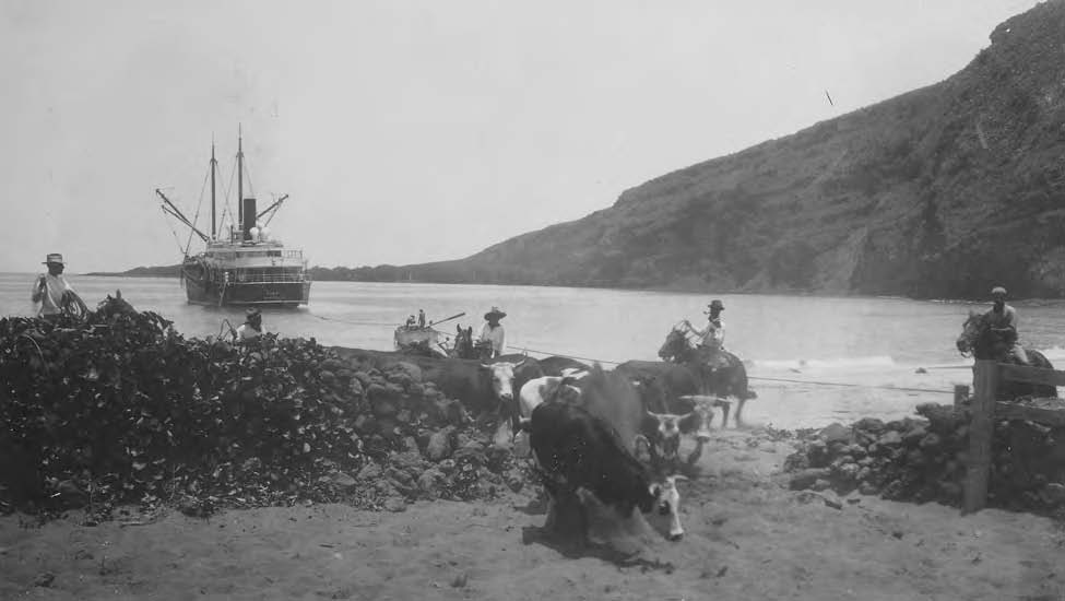 Nāpō‘opo‘o | Images of Old Hawaiʻi