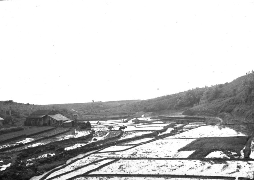 Water Rights | Images of Old Hawaiʻi