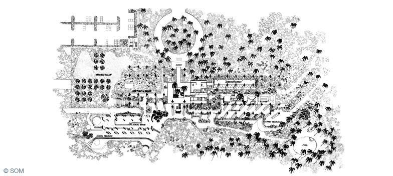 MKBH-early site plan-SOW | Images of Old Hawaiʻi