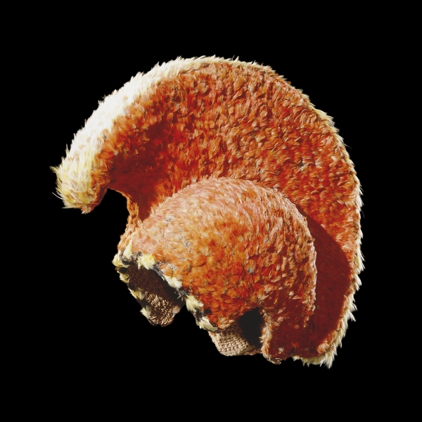 Mahiole | Images of Old Hawaiʻi