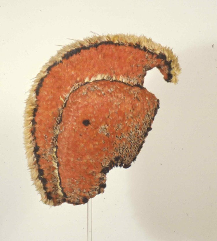 Mahiole | Images of Old Hawaiʻi