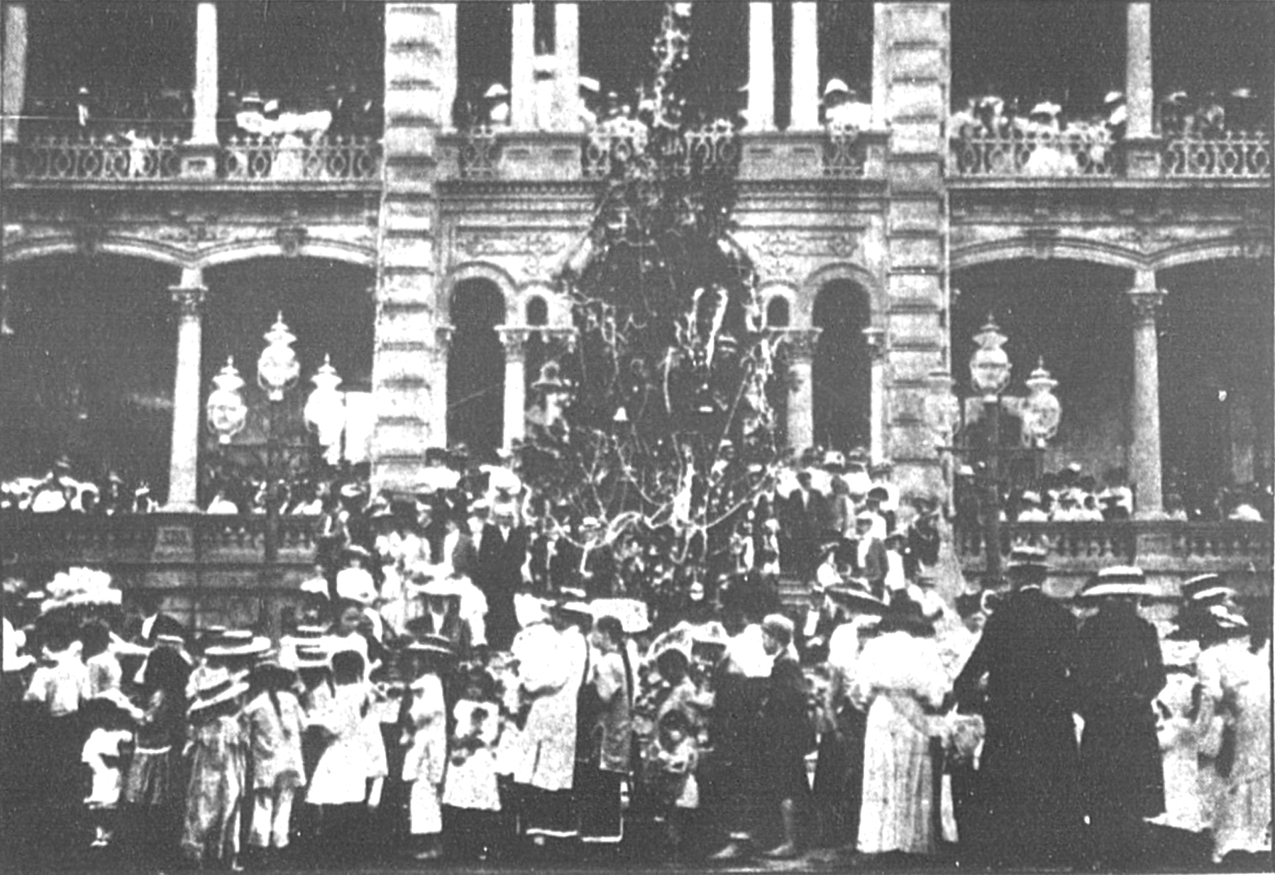 Malihini Tree | Images of Old Hawaiʻi