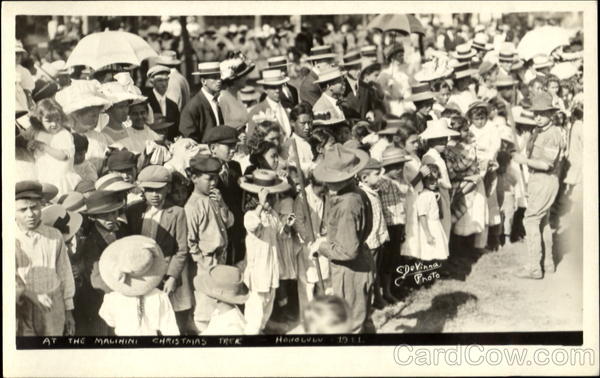 Malihini Tree | Images of Old Hawaiʻi