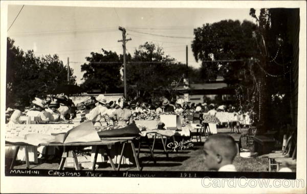 Malihini Tree | Images of Old Hawaiʻi