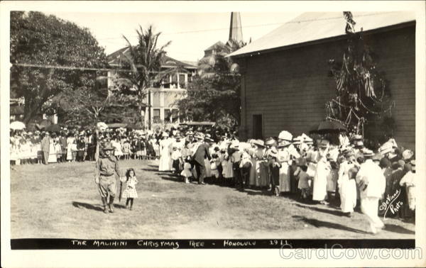 Malihini Tree | Images of Old Hawaiʻi