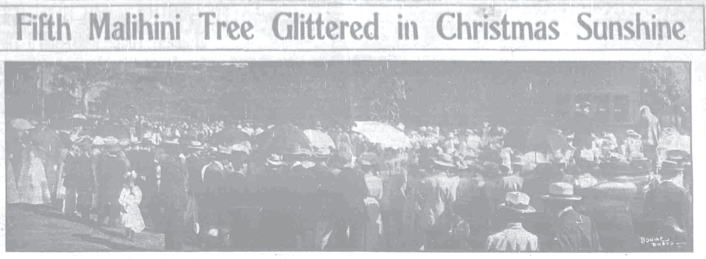 Malihini Tree | Images of Old Hawaiʻi