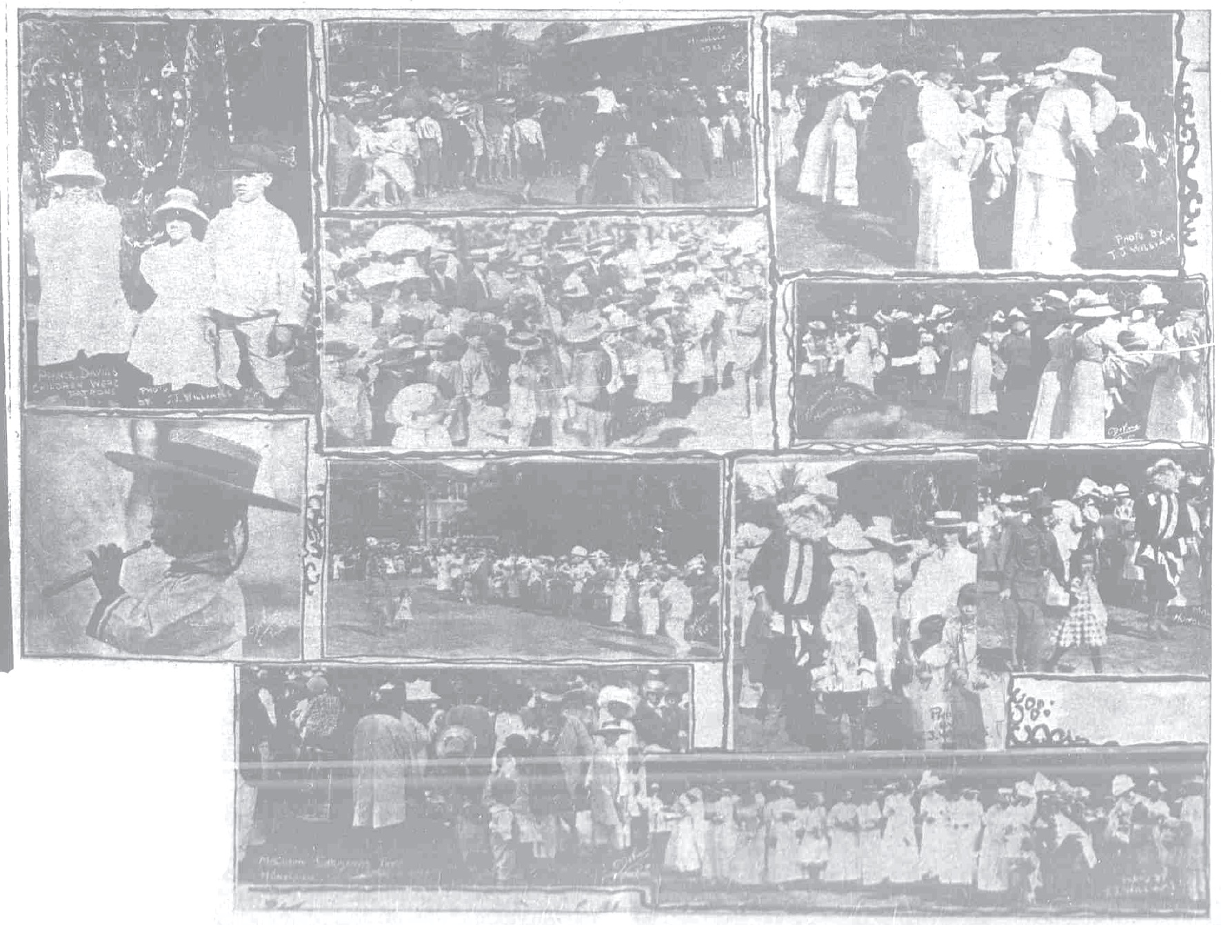 Malihini Tree | Images of Old Hawaiʻi