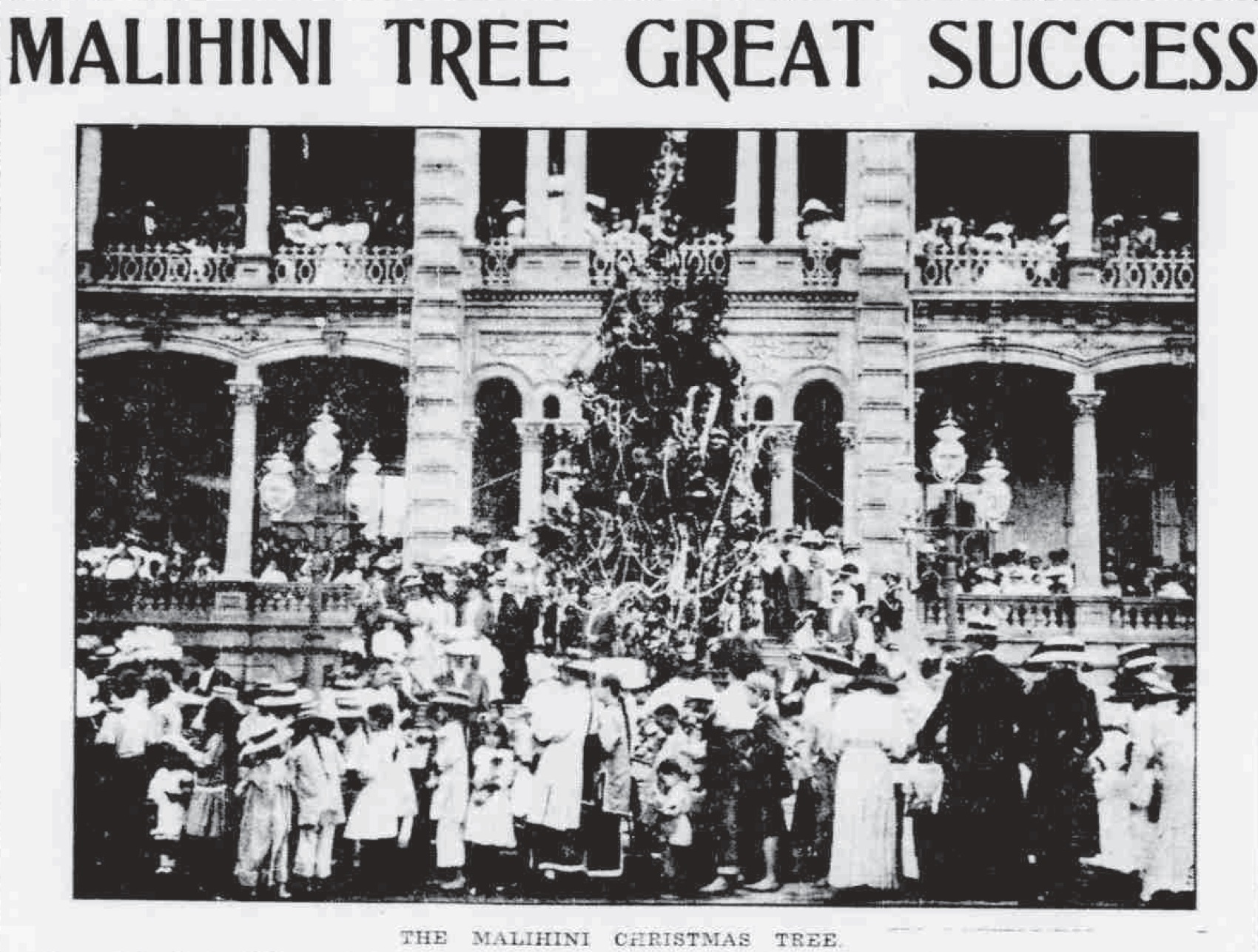 Malihini Tree | Images of Old Hawaiʻi