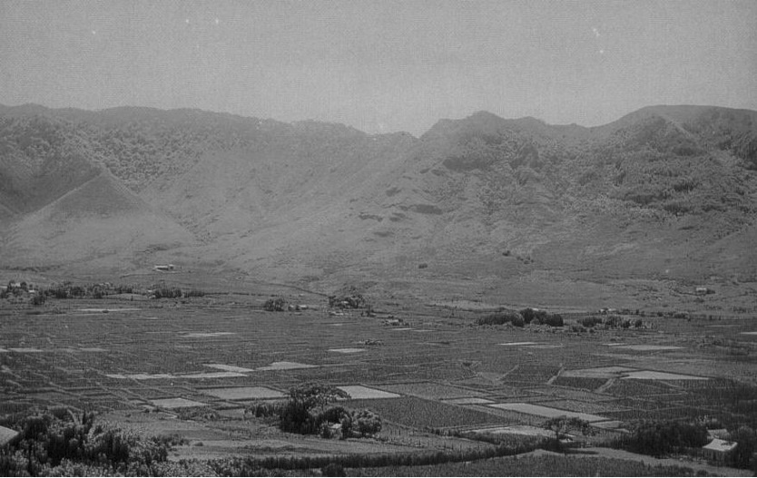 Glimpse of Honolulu Life in early-1870s | Images of Old Hawaiʻi