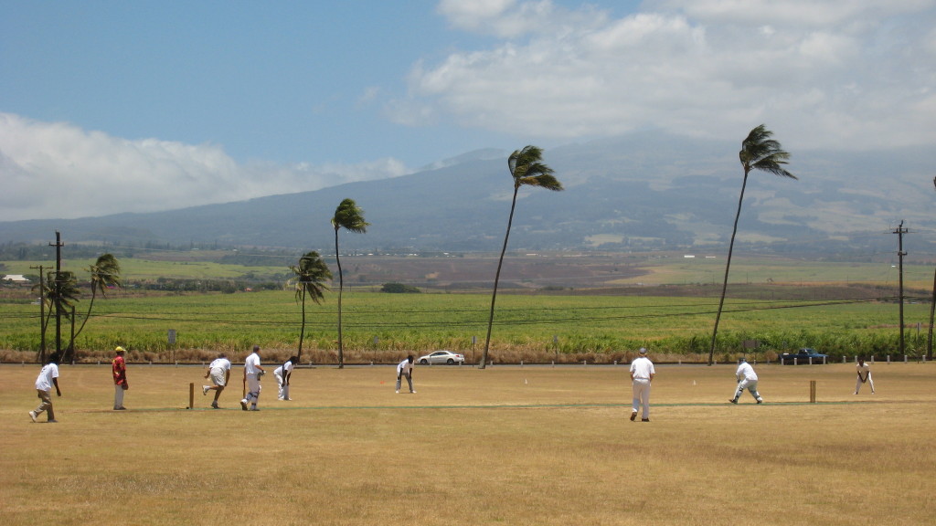 Sticky Wicket | Images of Old Hawaiʻi